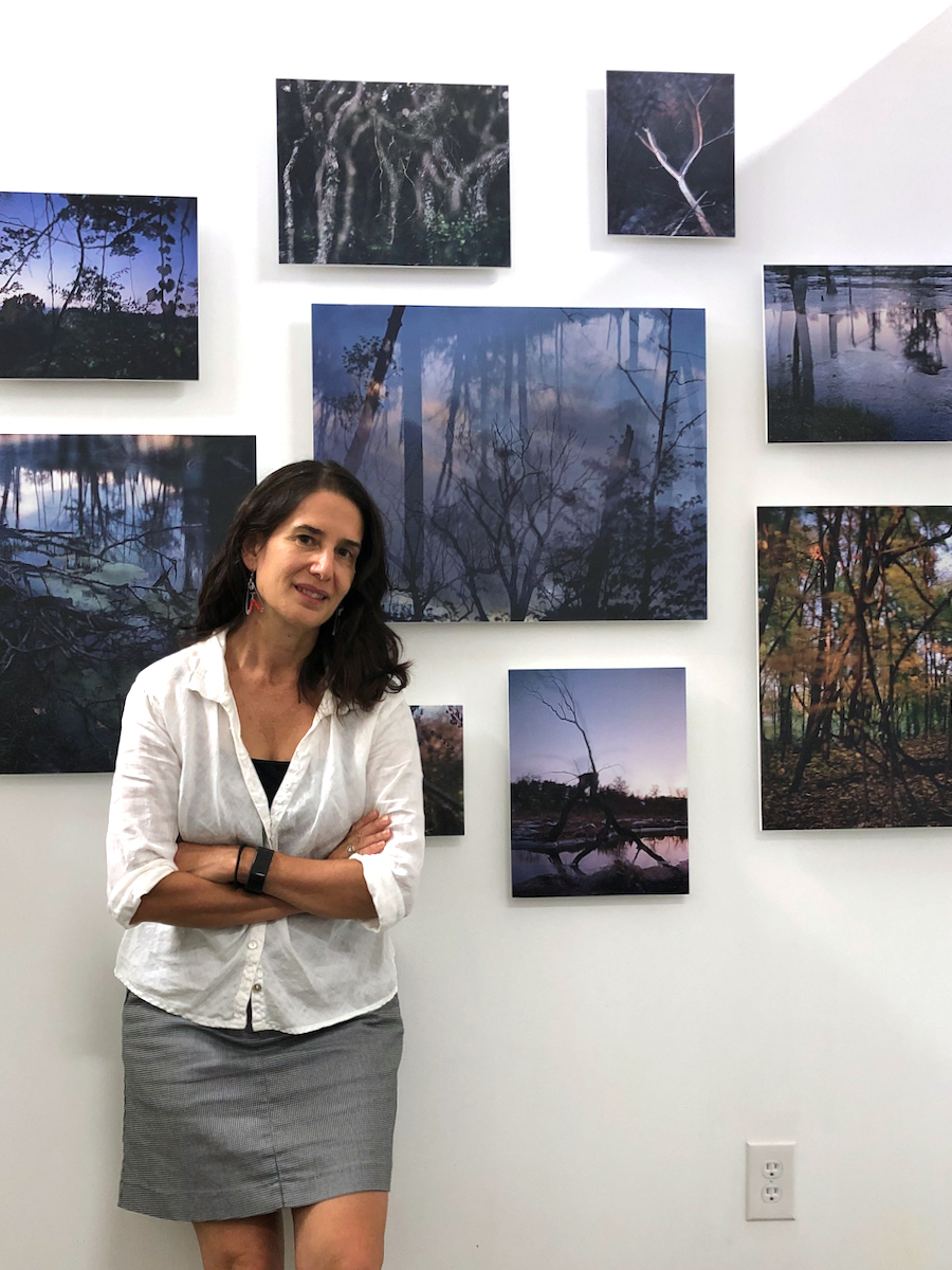 Emerging Artists Series - The Heckscher Museum of Art