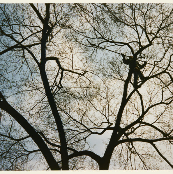 The Heckscher Museum of Art