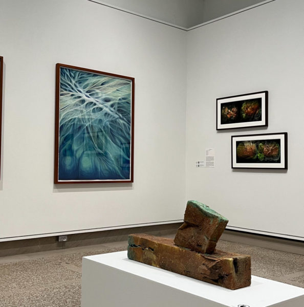 The Heckscher Museum of Art